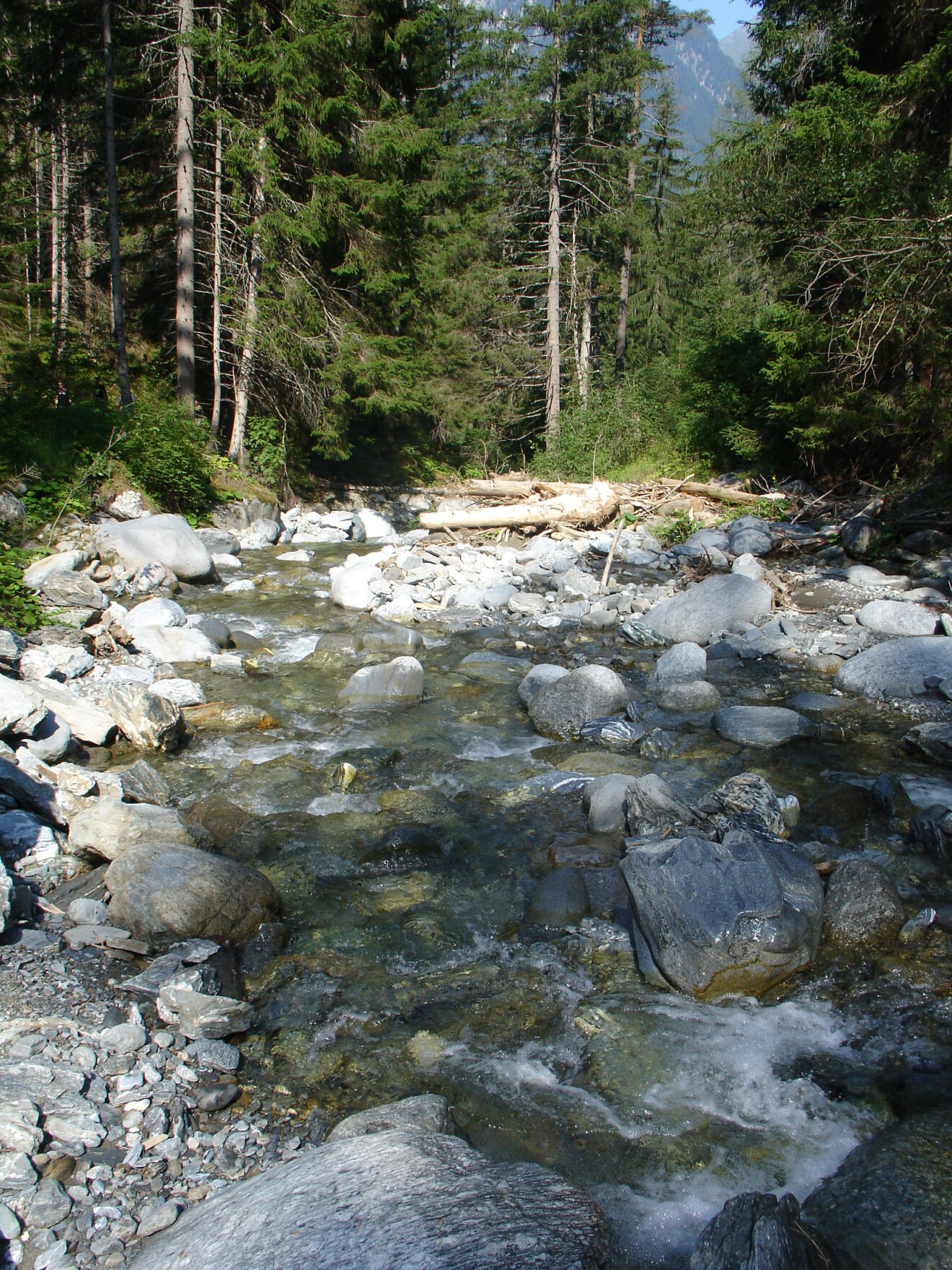Kloofwandeling in de Radurschlklamm in Tirol - Wandelen in de bergen